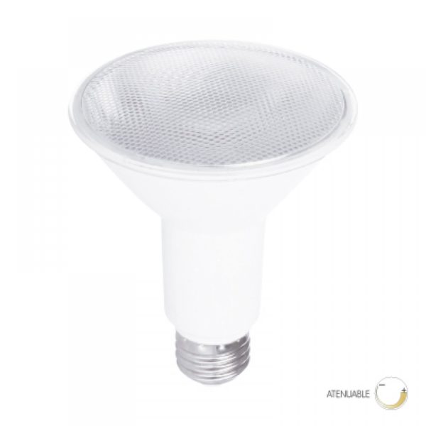 PAR30-LED/001/65 tecnolite Foco par 30 Led 10W 6500K E27